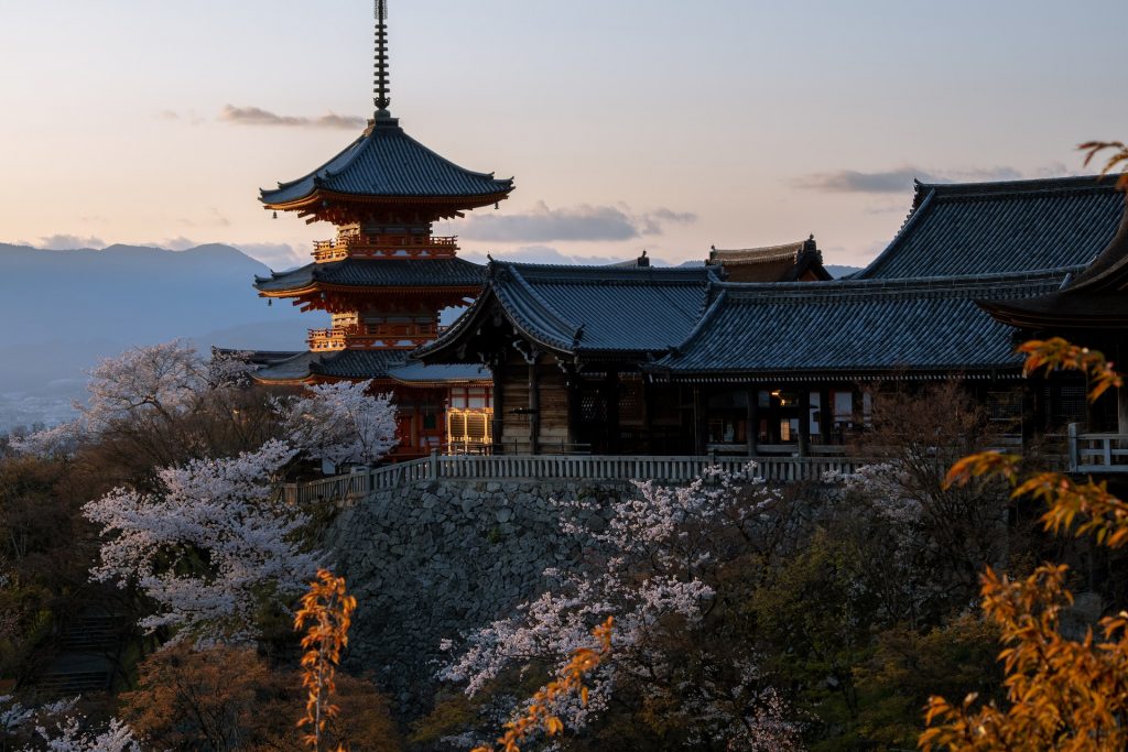 Top 5 Cherry Blossom Viewing Locations in Japan – Yehey Remit